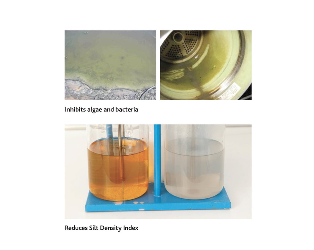 Genefloc ABF Algaecide, Biocide & Flocculant for RO & NF Membranes